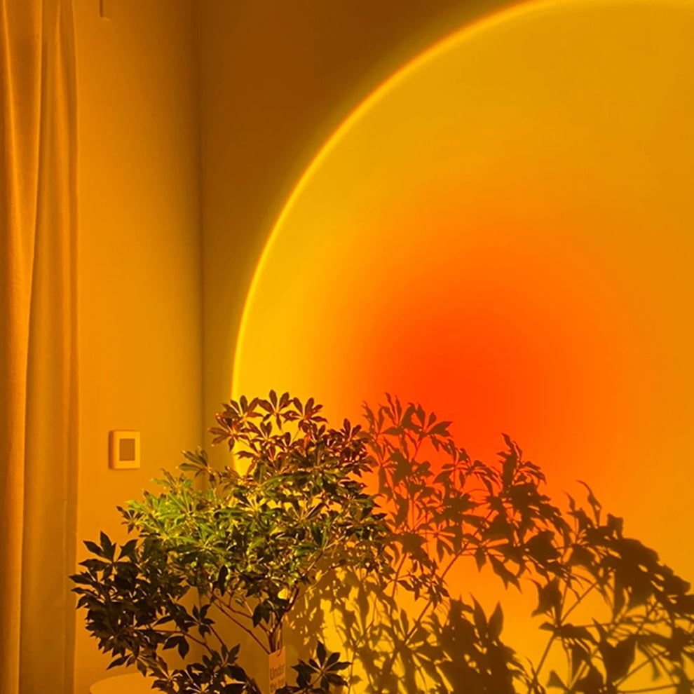 Sunset Mood Light – Palmetto Reina